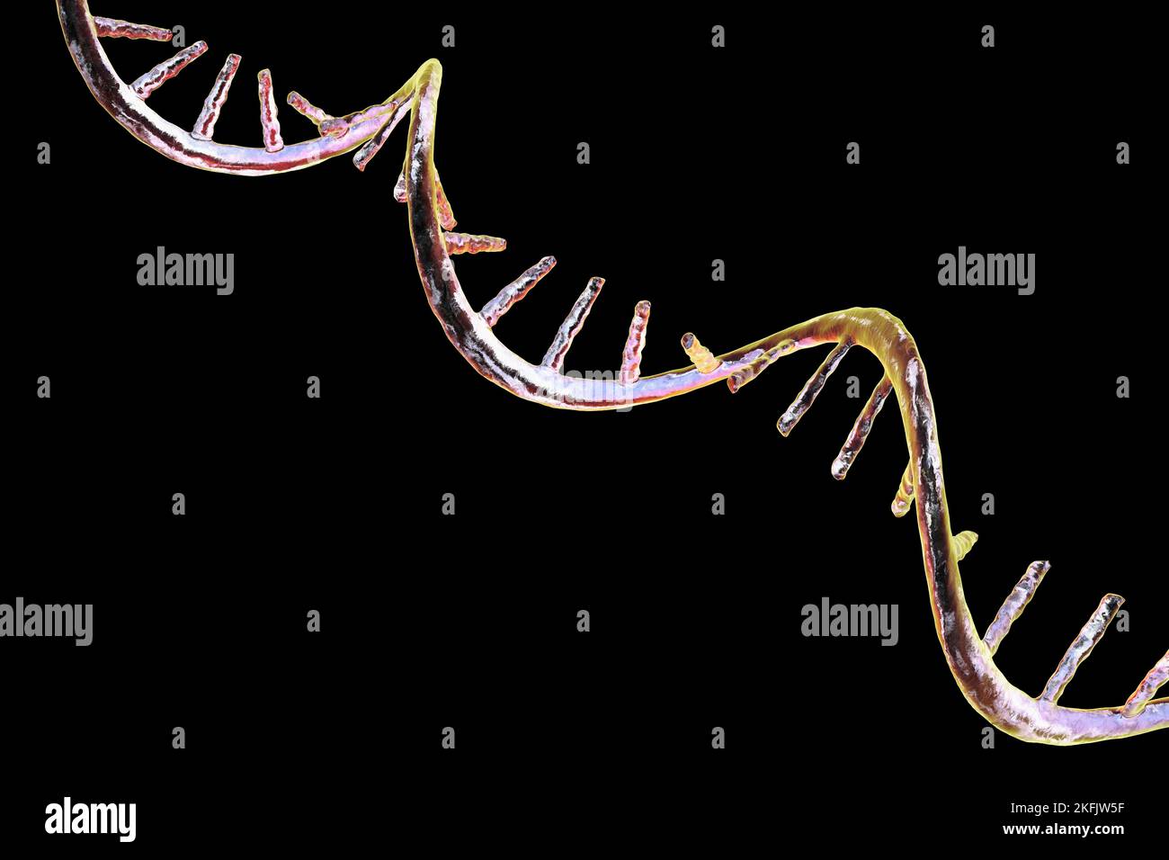 Molecule of mRNA, illustration Stock Photo - Alamy