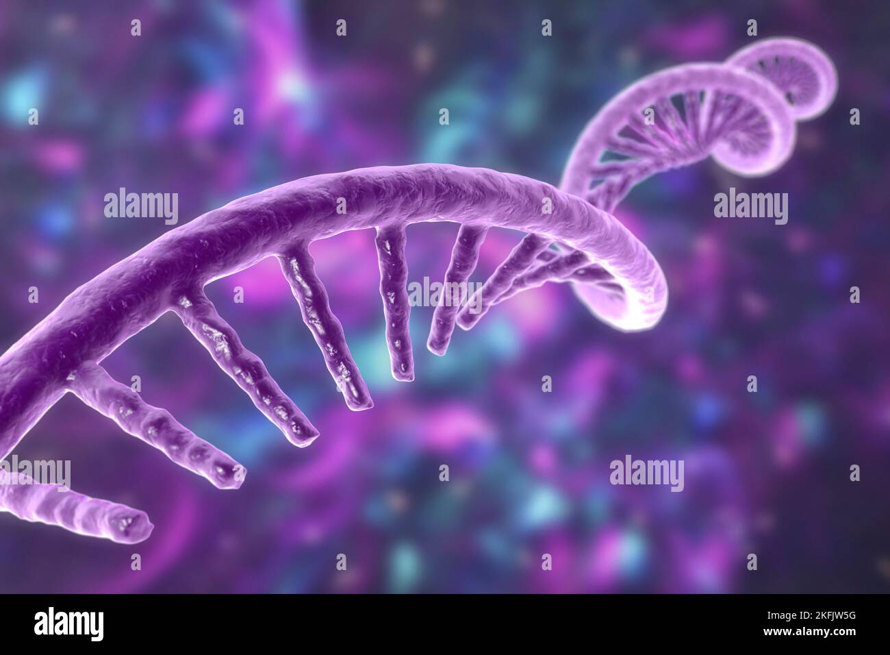 Molecule of mRNA, illustration Stock Photo - Alamy