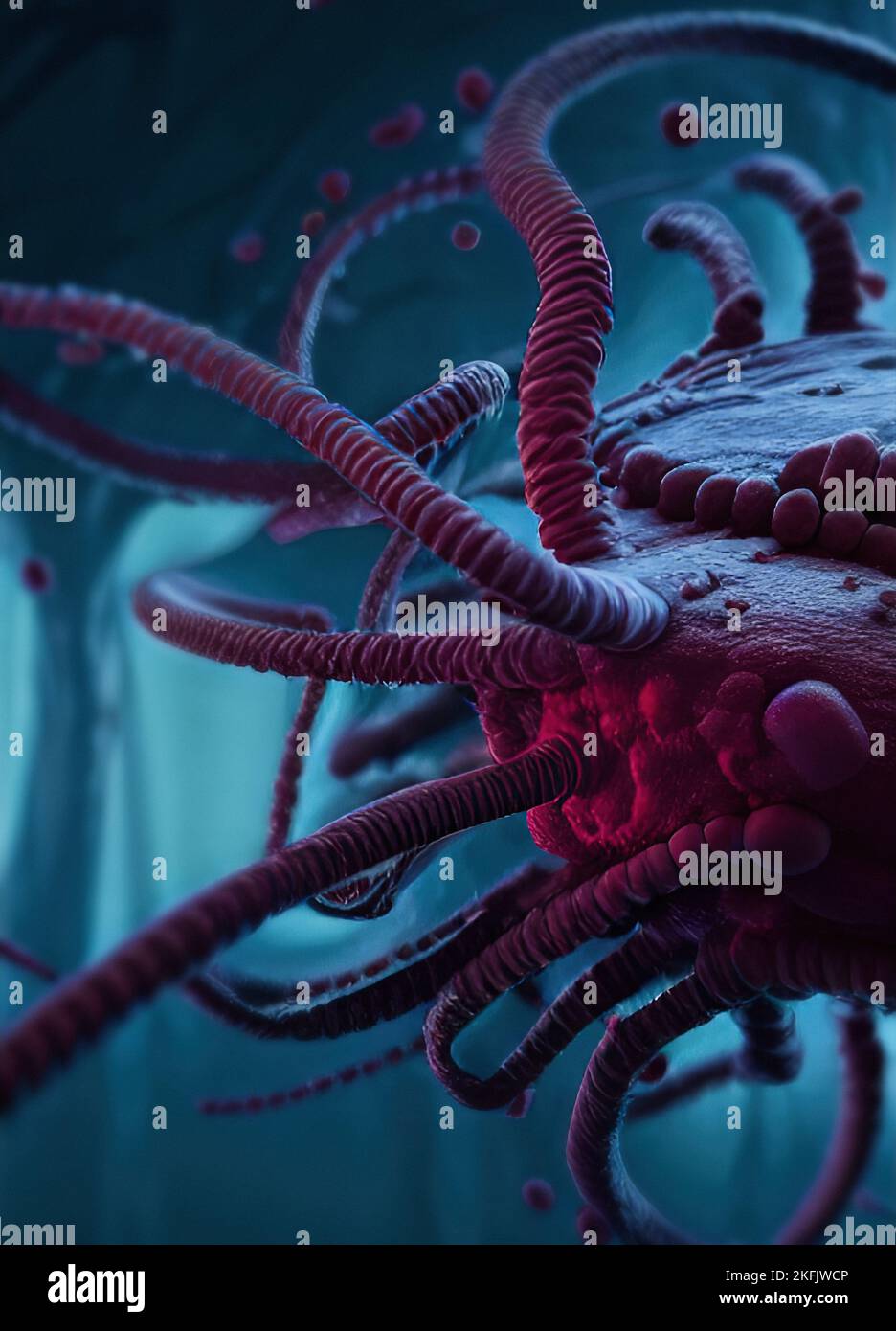 Flagellum of a bacteria, illustration Stock Photo - Alamy