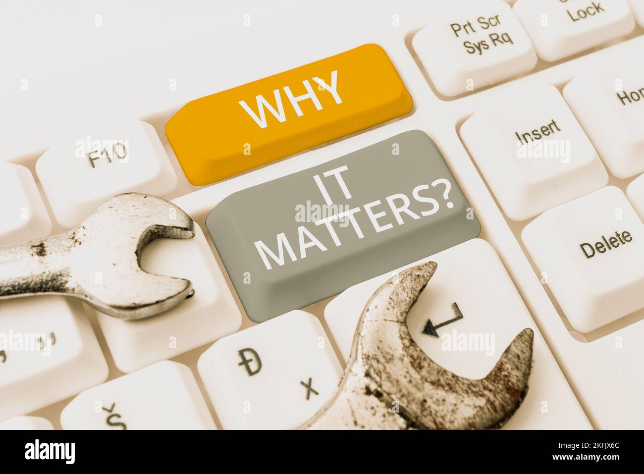 Conceptual caption Why It Matters. Business overview Important Reasons ...