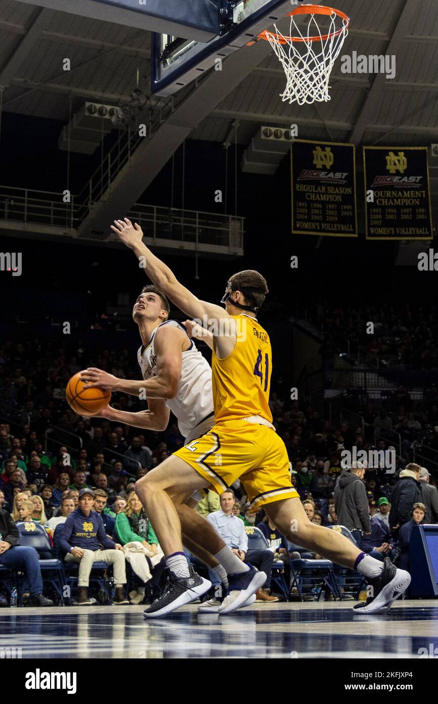Lipscomb bisons hi-res stock photography and images - Alamy
