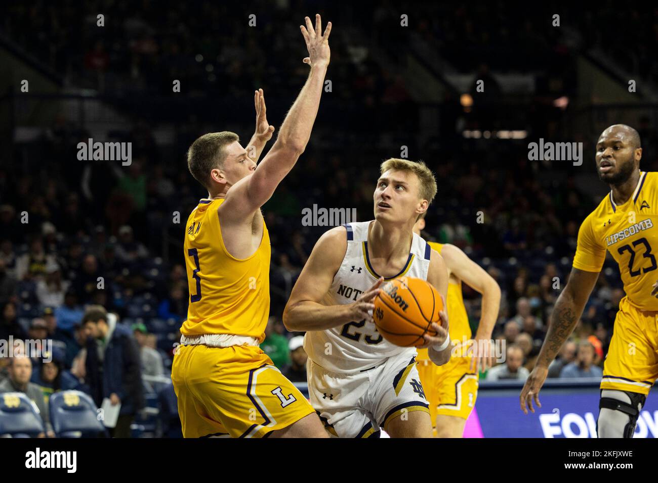 Lipscomb bisons hi-res stock photography and images - Alamy