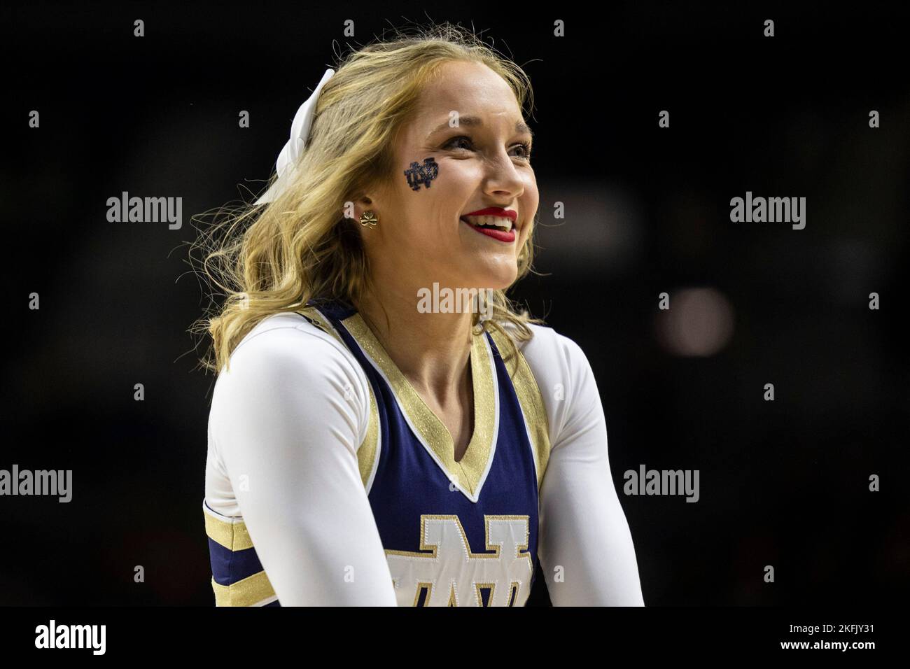 Bisons indiana hi-res stock photography and images - Alamy