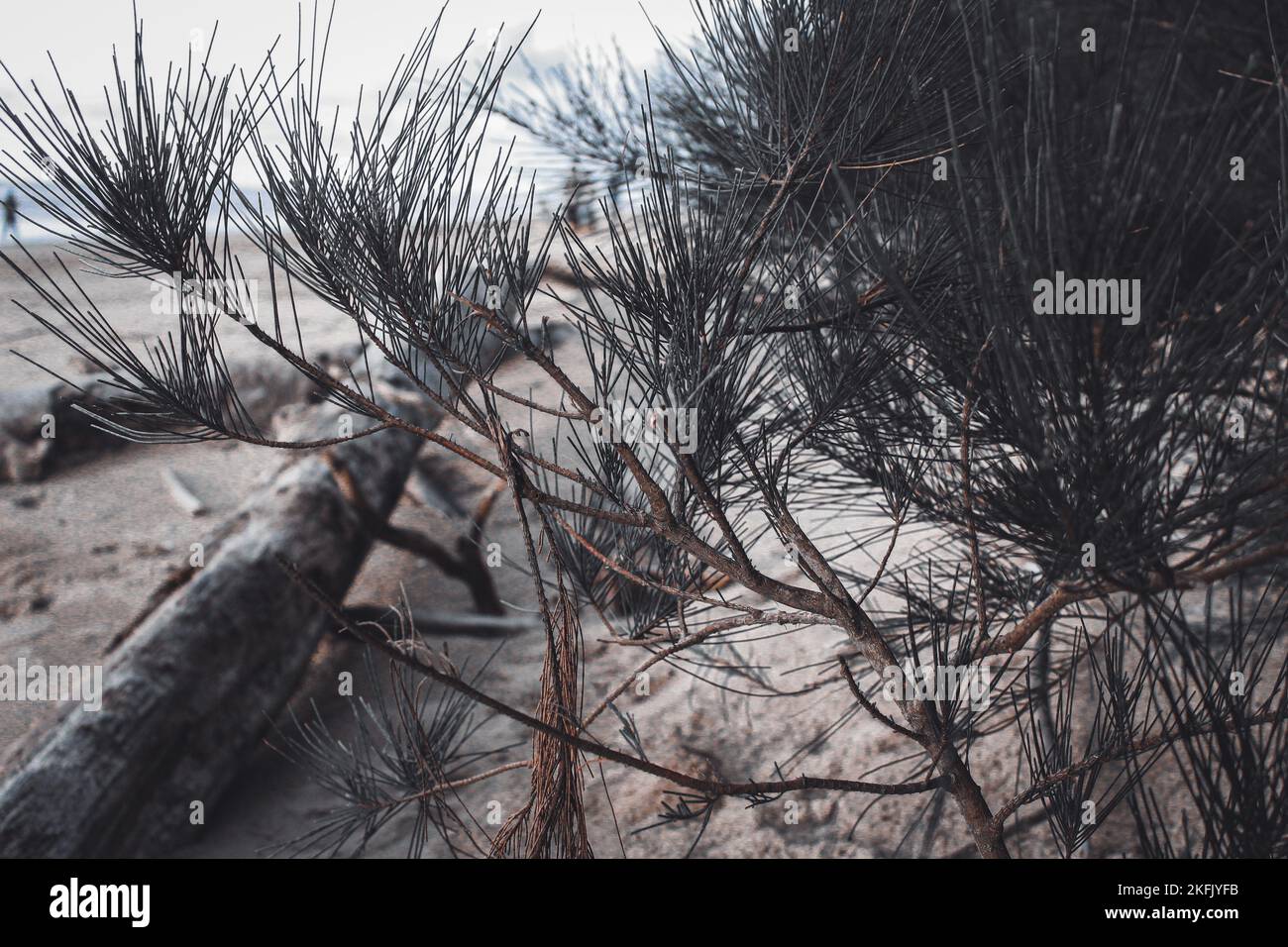 seri kenangan beach Stock Photo - Alamy