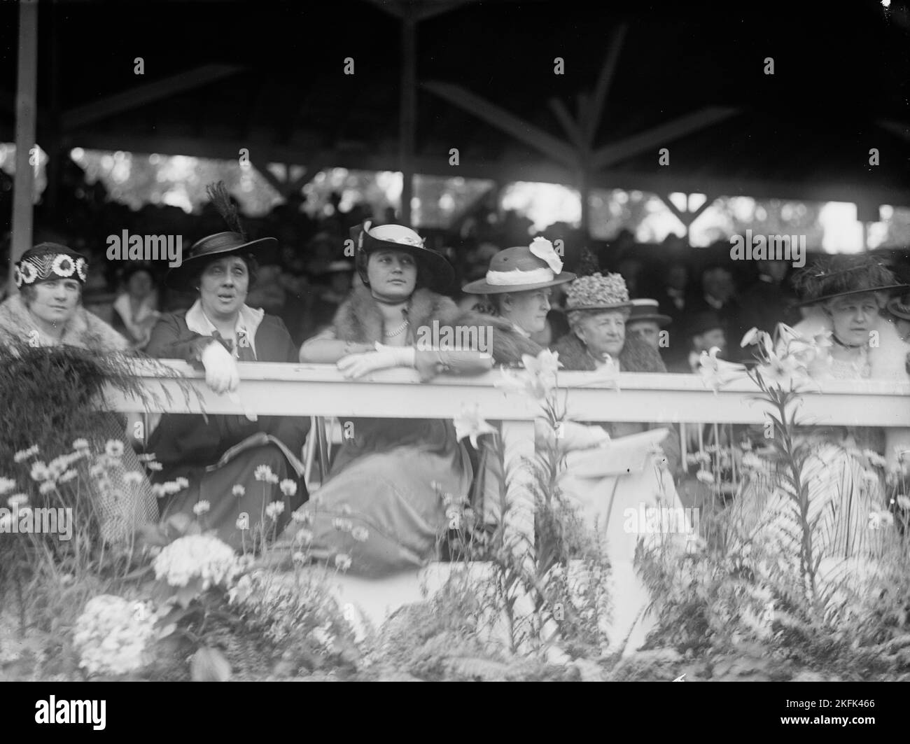 Horse Shows - Society, 1916 Stock Photo - Alamy Horse Shows - Society, 1916 Stock Photo - Alamy