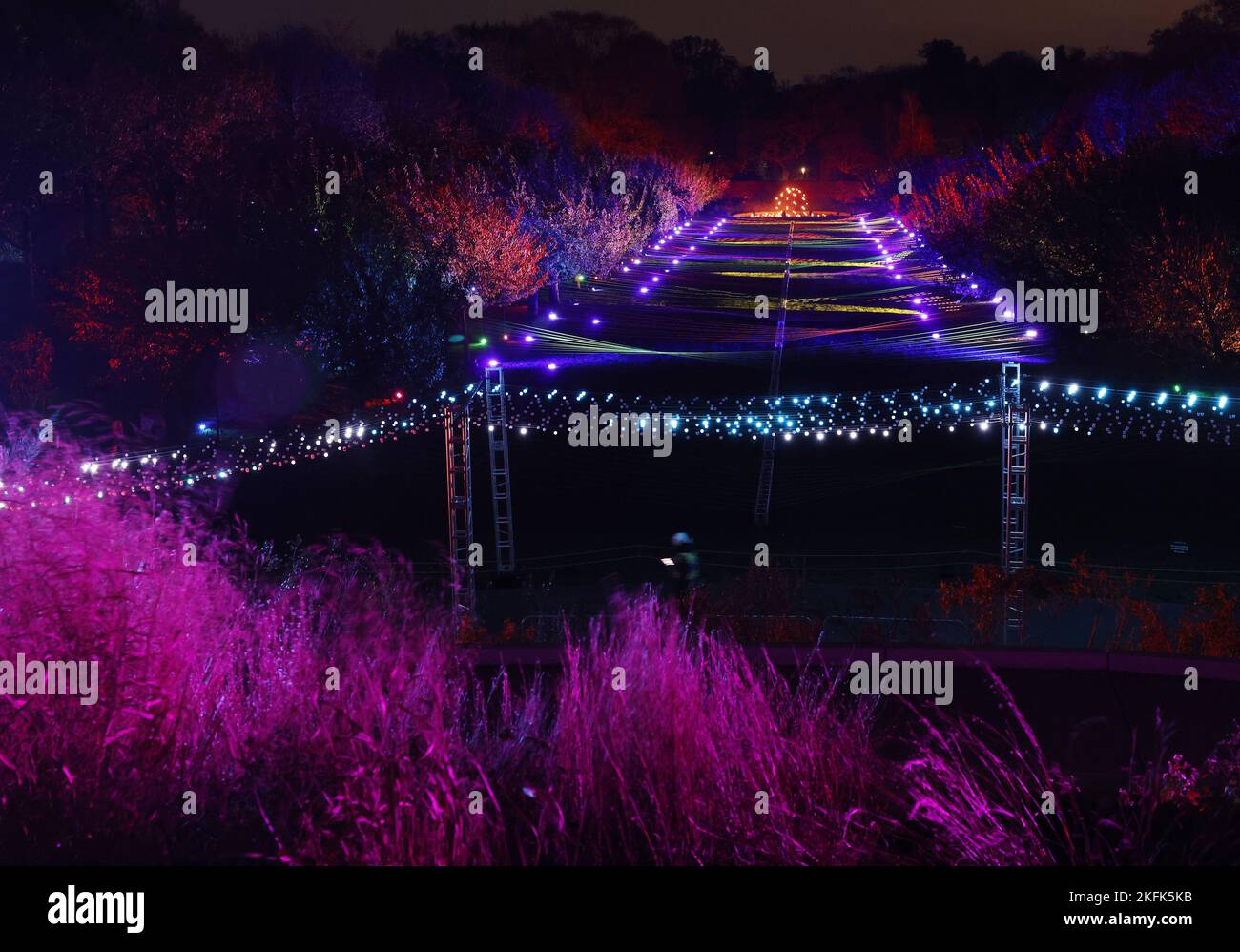 People tour the holiday light installations at Lightscape, an after ...