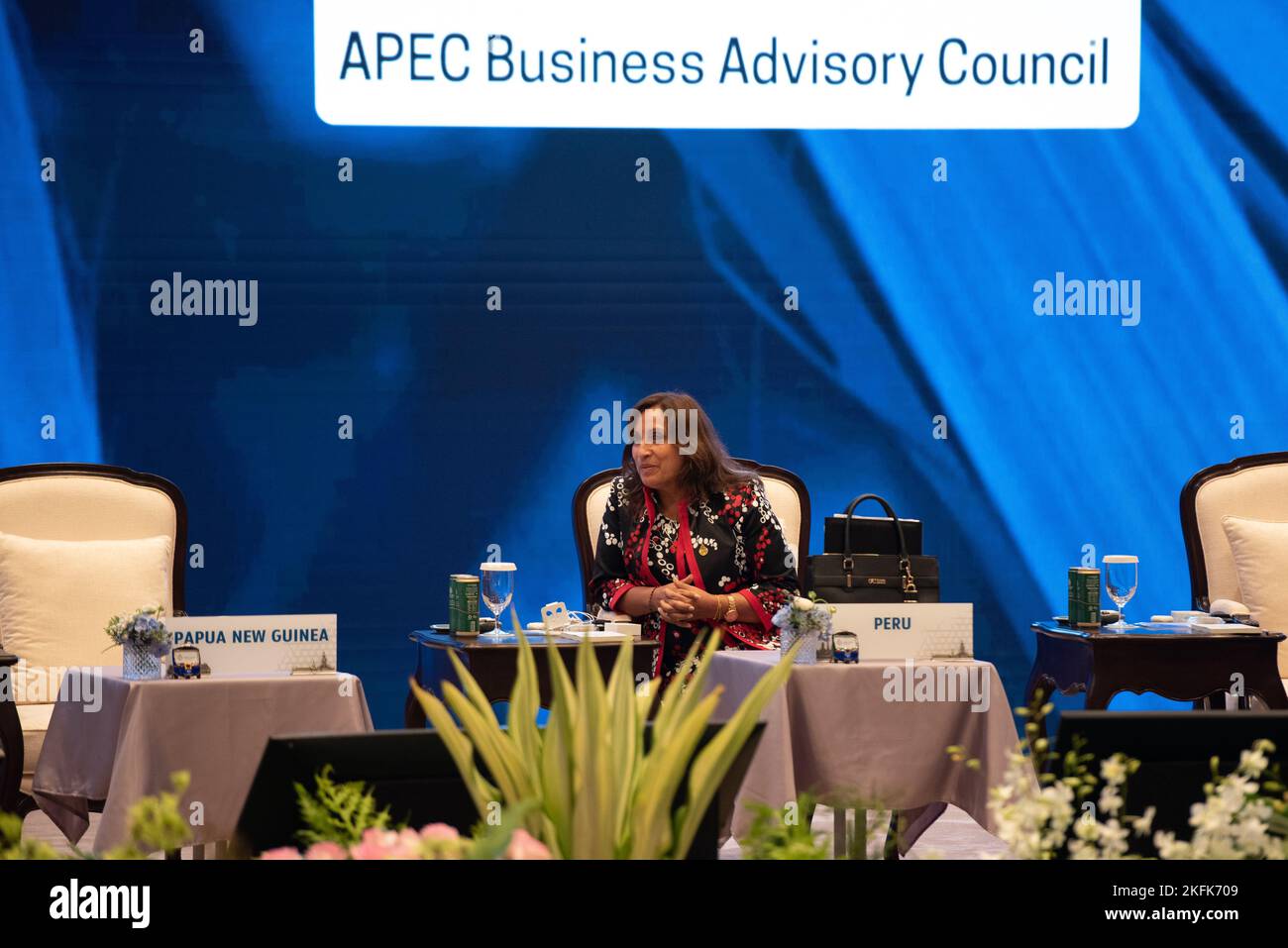 view inside the meeting room APEC Economic Leaders discuss with ...