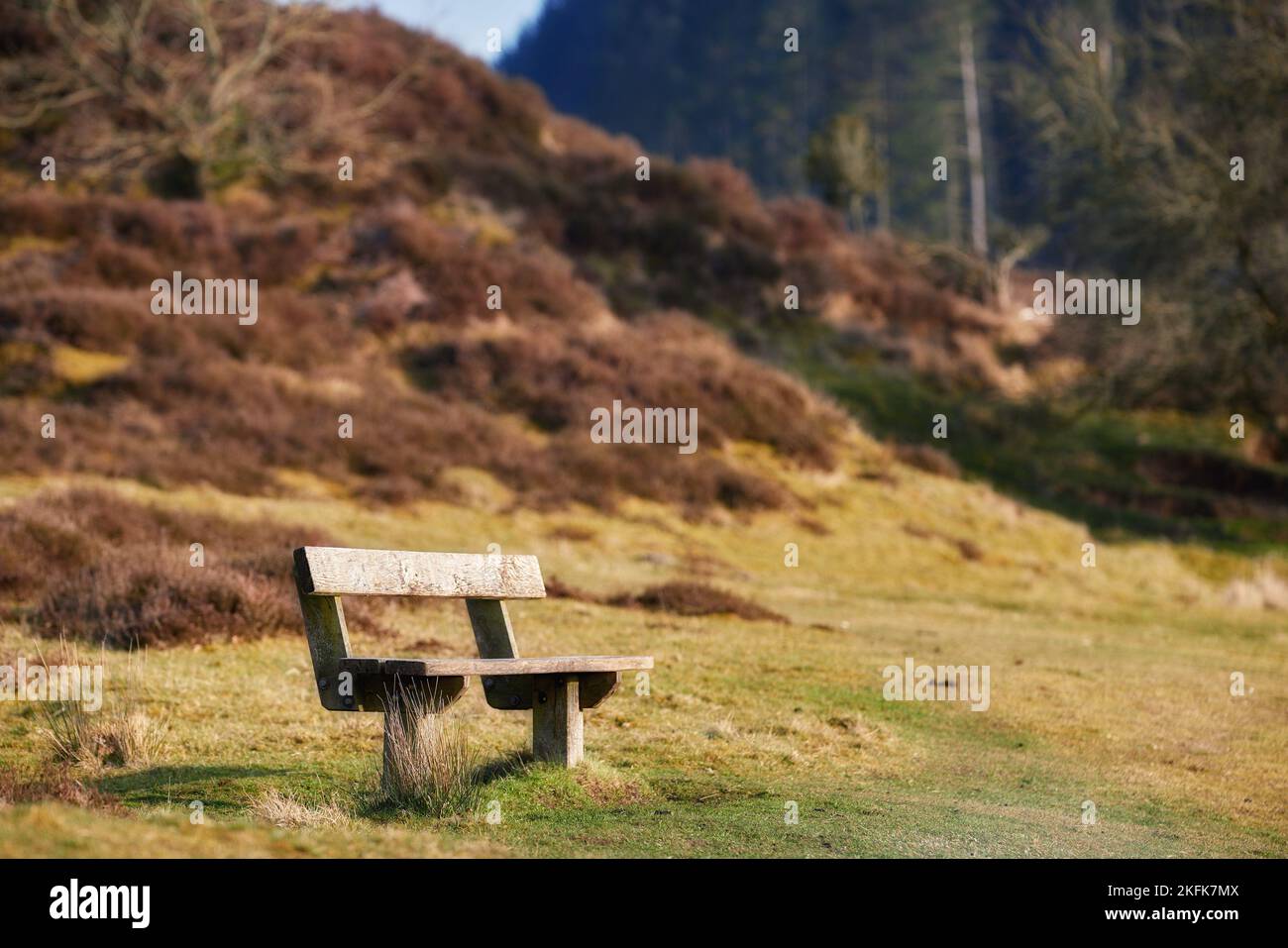 Moorland - Rebild National Park. Moorland at Rebild National Park ...