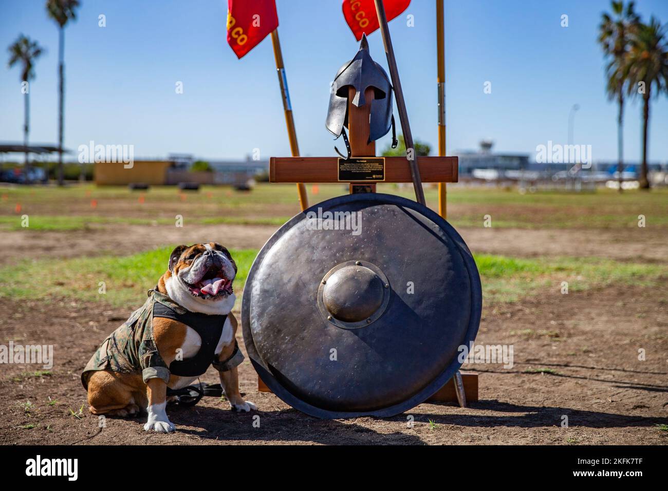 U.S Marine Corps Cpl. Manny, the mascot of Marine Corps Recruit Depot ...