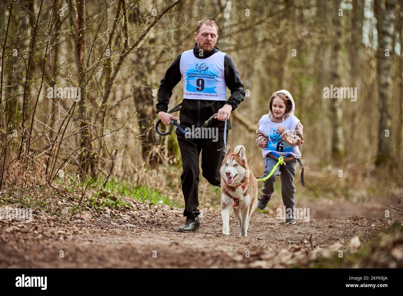 Svetly, Russia - 04.17.2022 - Running father and girl with pulling ...