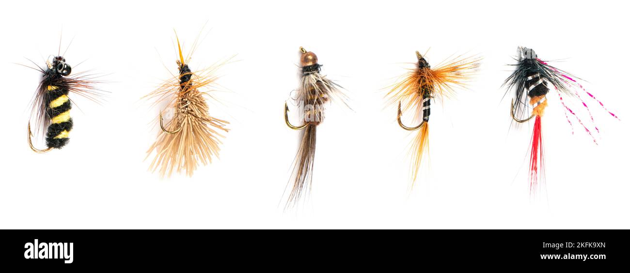 Macro shot five colorful fishing fly isolated on a white background ...