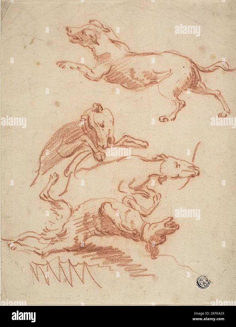 Sketches of Romping Dogs, n.d. Probably by Abraham Hondius Stock Photo ...