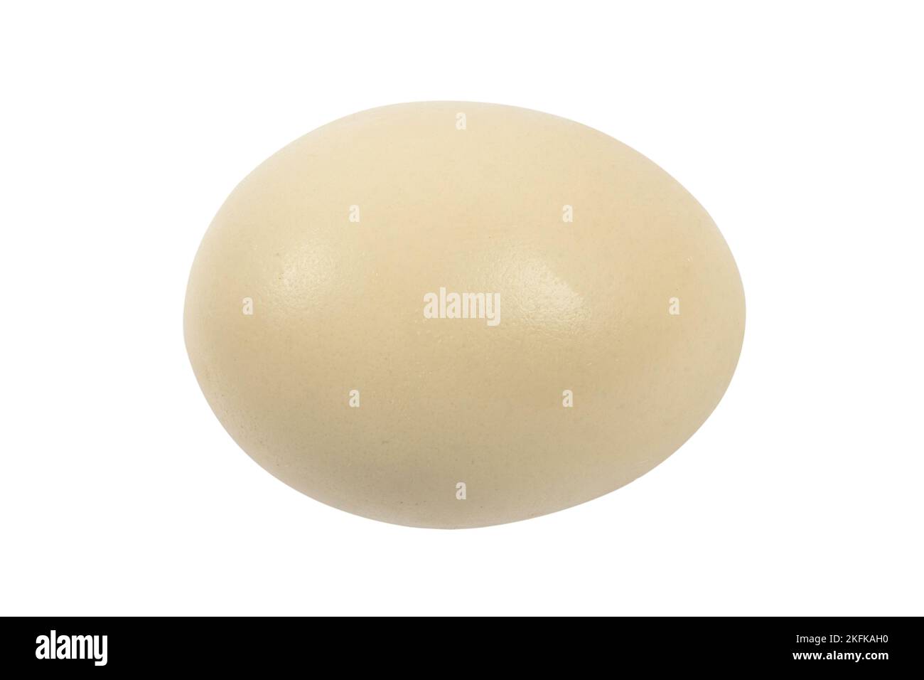 Single chicken egg isolated on white background Stock Photo - Alamy