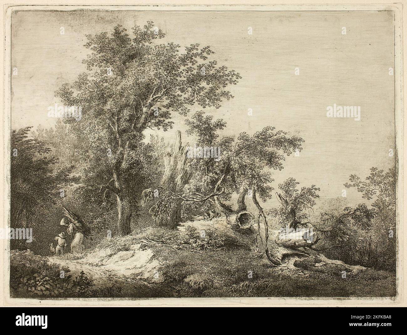 The Fallen Tree Trunk, n.d Stock Photo - Alamy