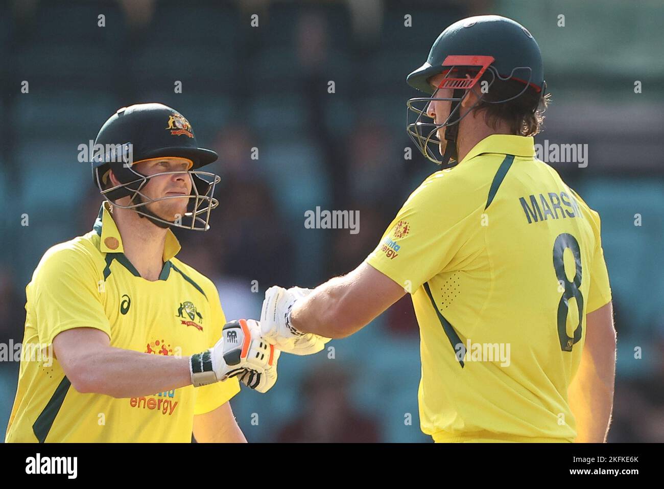 Steve marsh cricket hi-res stock photography and images - Alamy