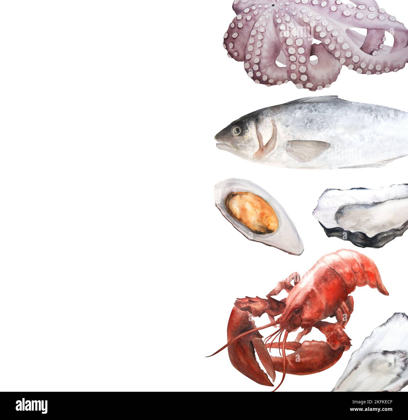 Seafood watercolor illustration, vertical banner on white background ...
