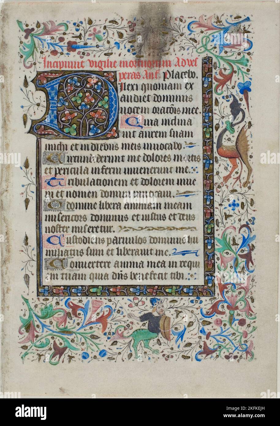 Textualis hi-res stock photography and images - Alamy