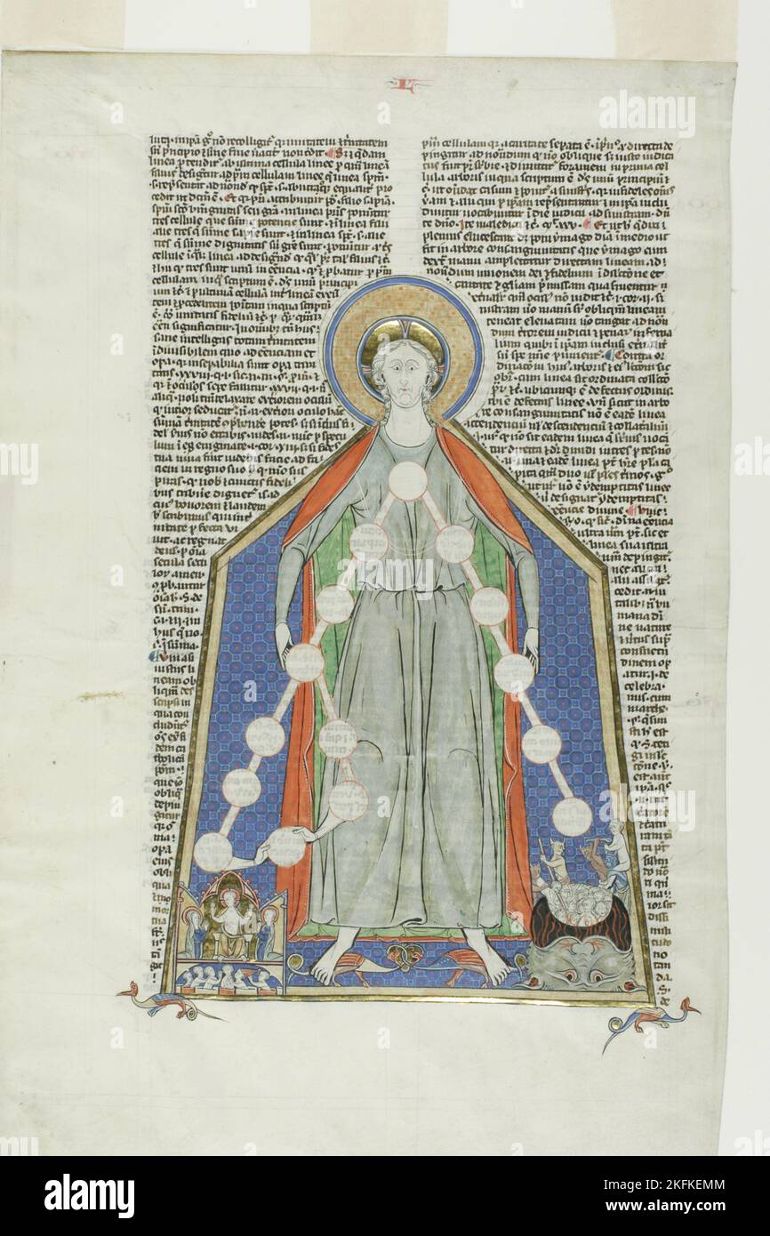 Table of Bigamy, from the Summa Super Titulis Decretalium Completa ...