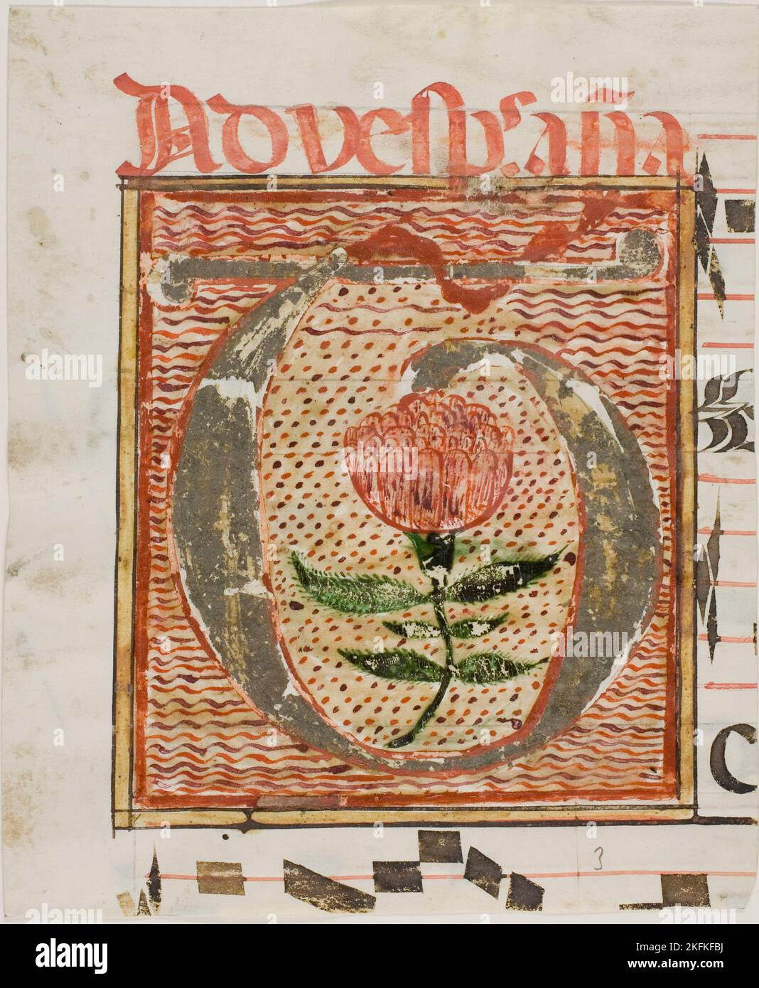 Manuscript cutting in tempera and colored inks on vellum hi-res stock ...