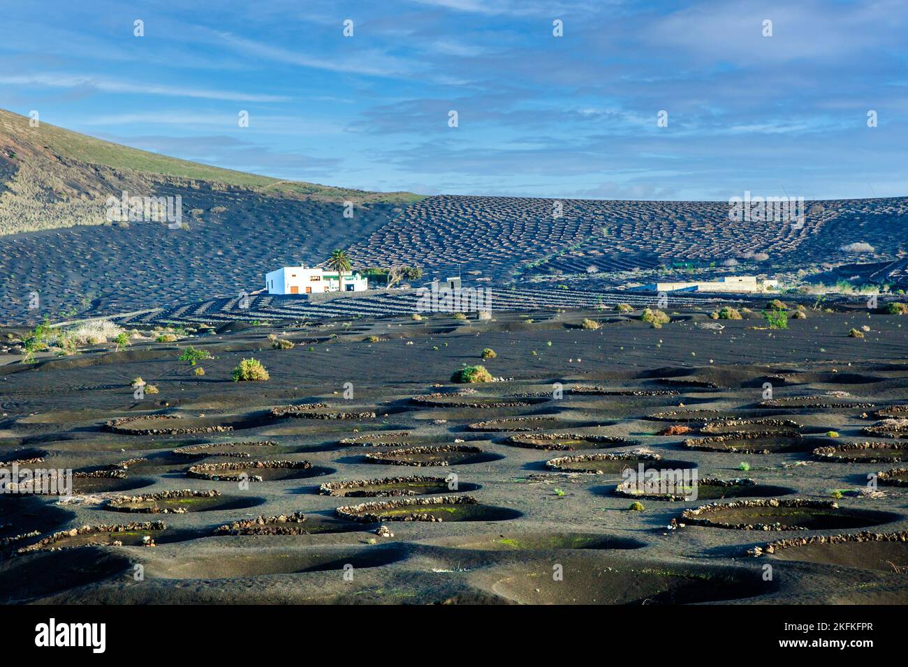 Landscape La Geria in Lanzarote, a Wine area on volcanic ash, Spain ...