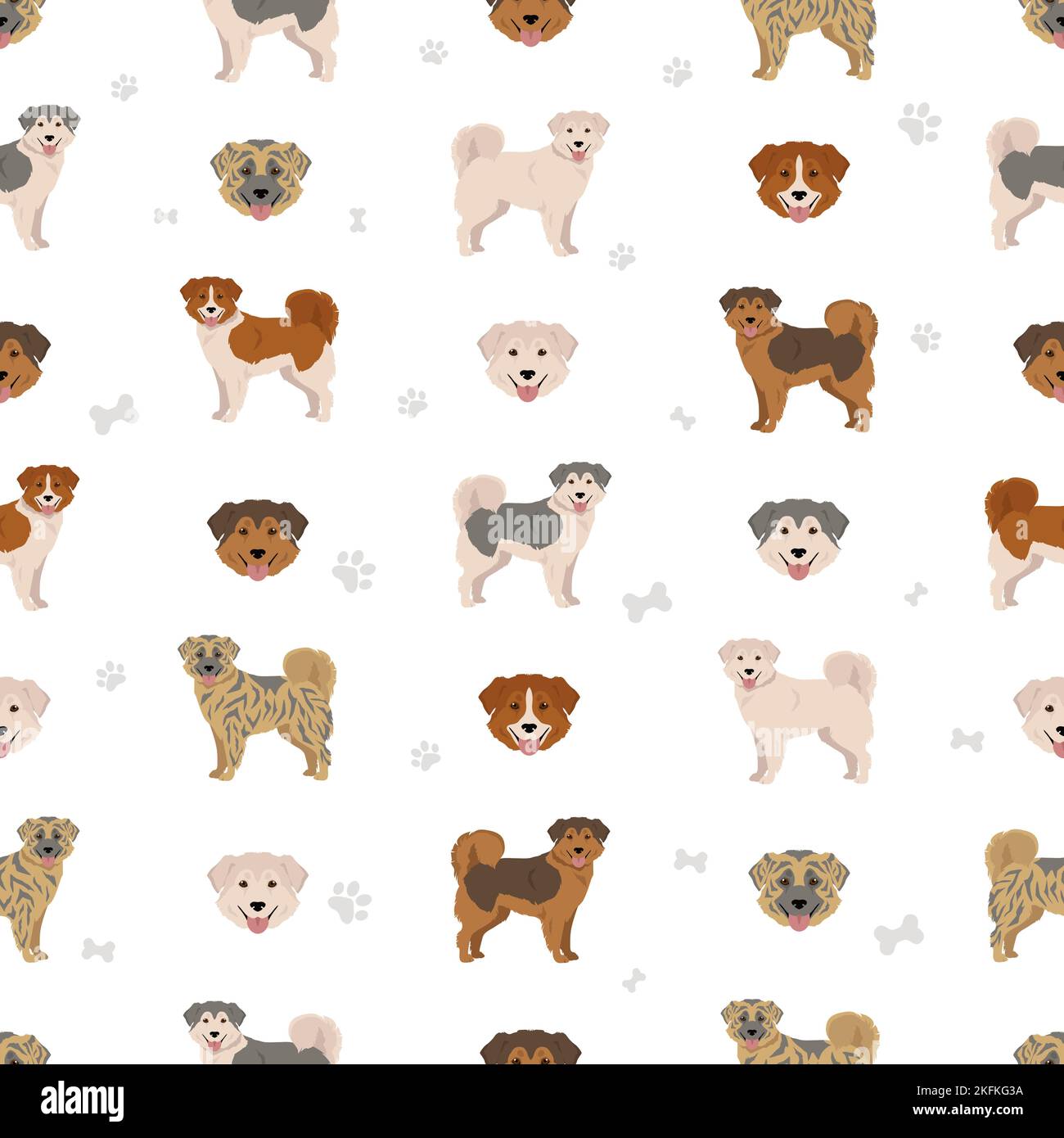 What Is The Breed Of Aidi