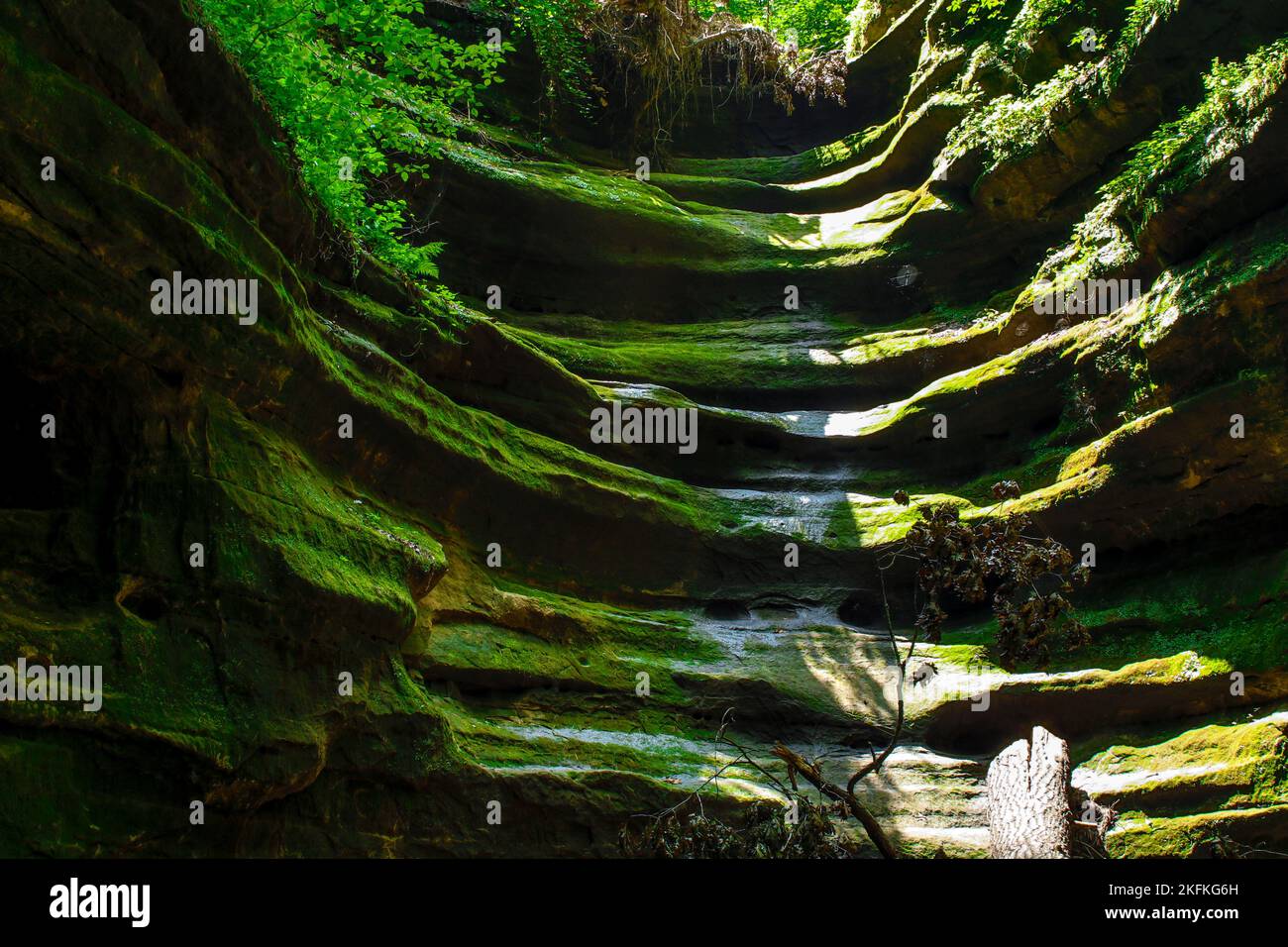 A breathtaking view of green mossy French Canyon under bright sunlight ...