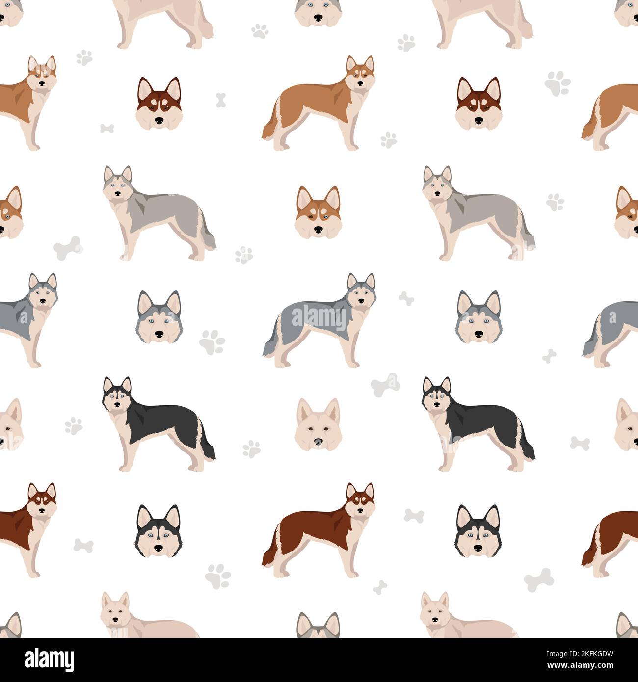 Alaskan husky seamless pattern Different poses, coat colors set. Vector ...