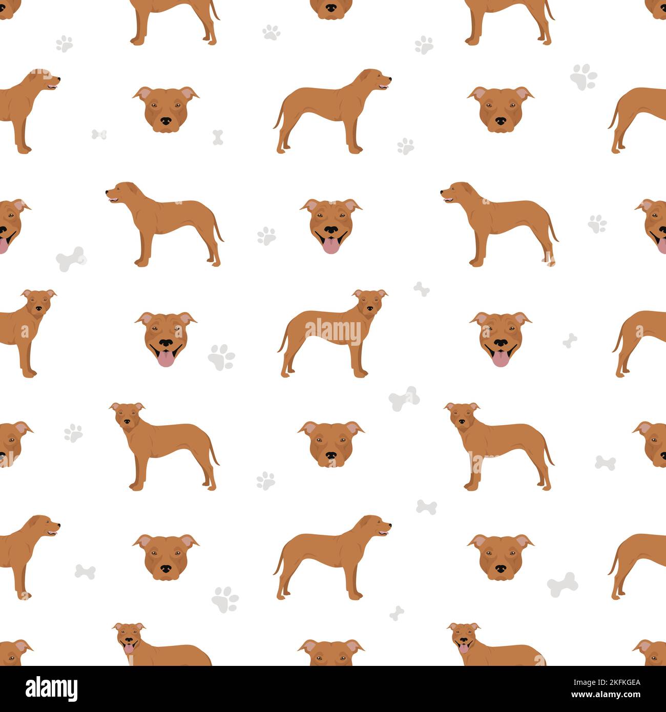American pit bull terrier dogs seamless pattern. Color varieties ...