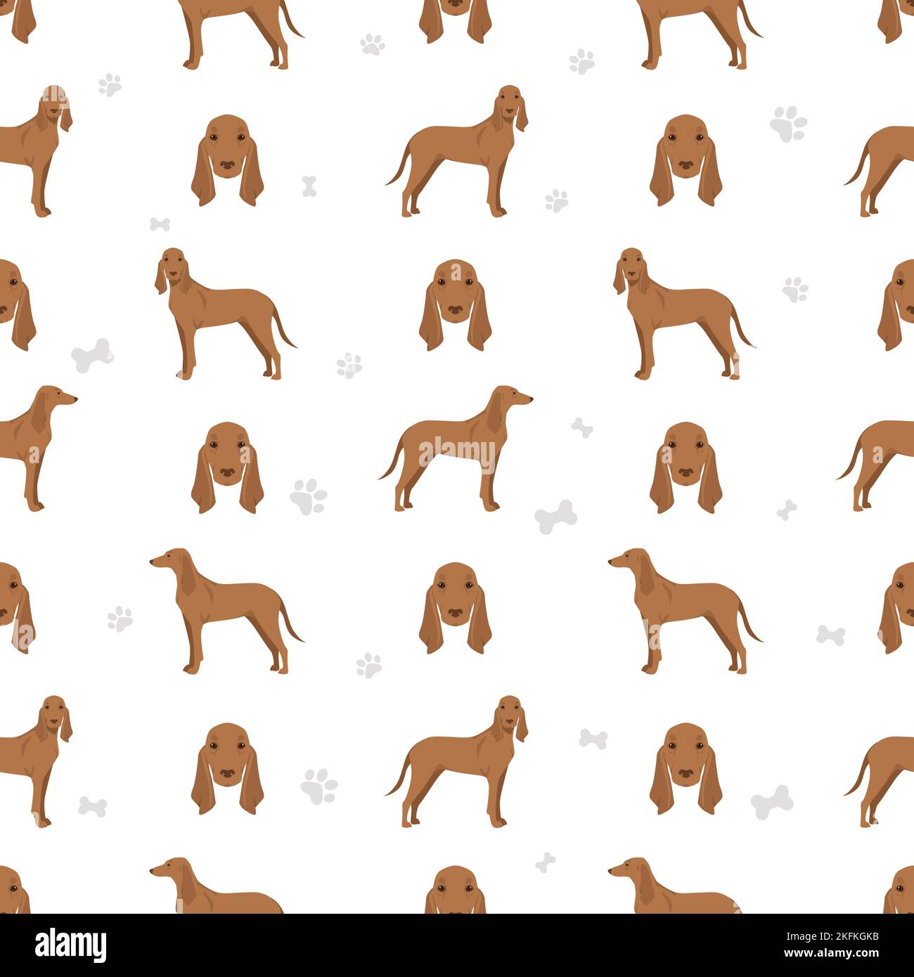 Apennine hound clipart. Different poses, coat colors set. Vector ...