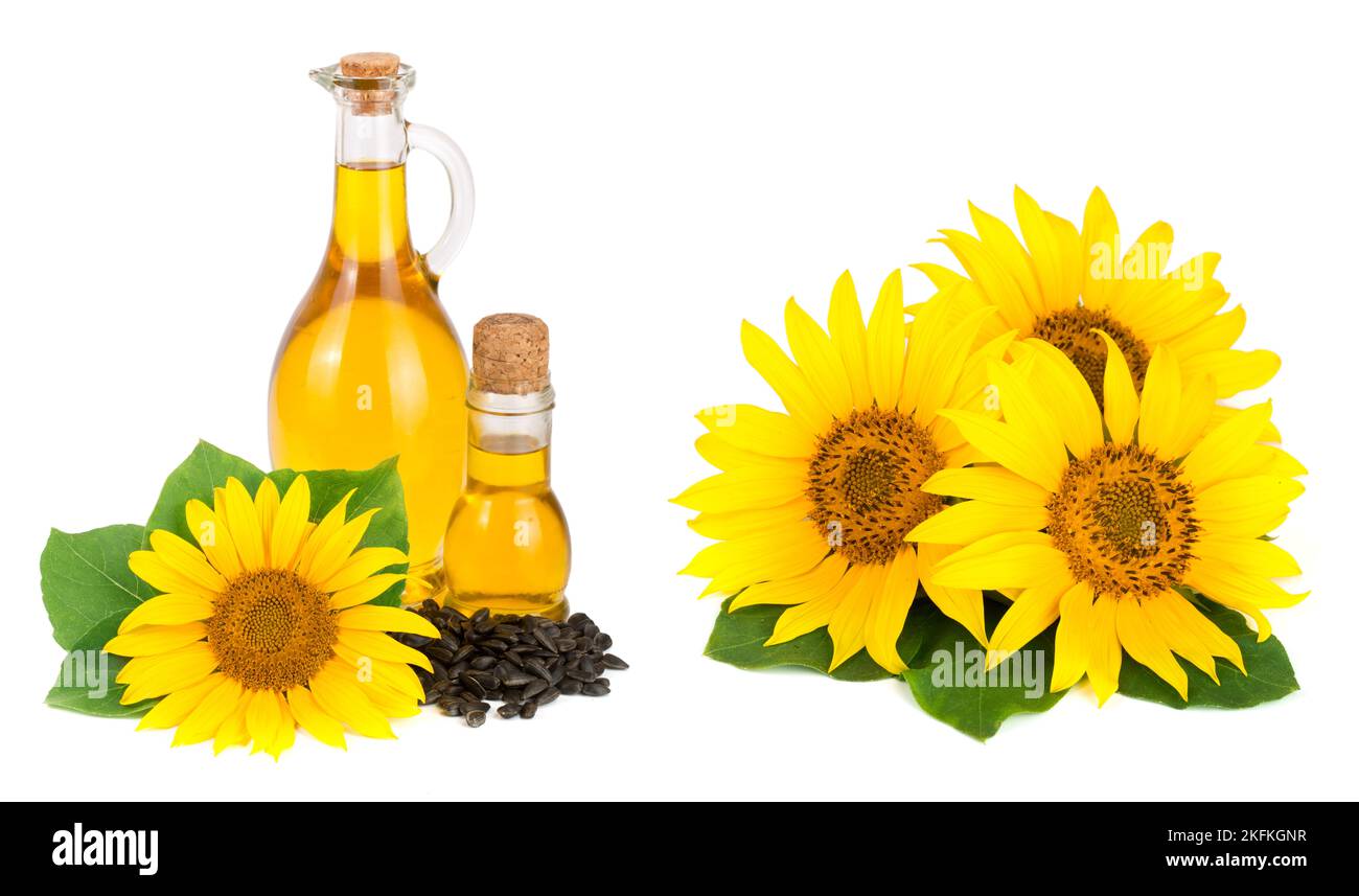 Sunflower oil, seeds and flower isolated on white background Stock ...