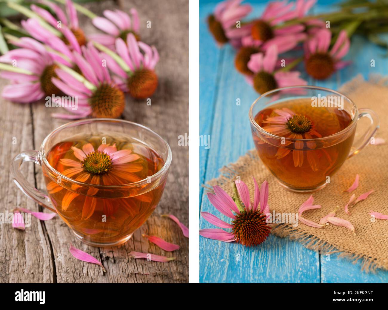 Cup of echinacea tea on blue wooden table Stock Photo - Alamy