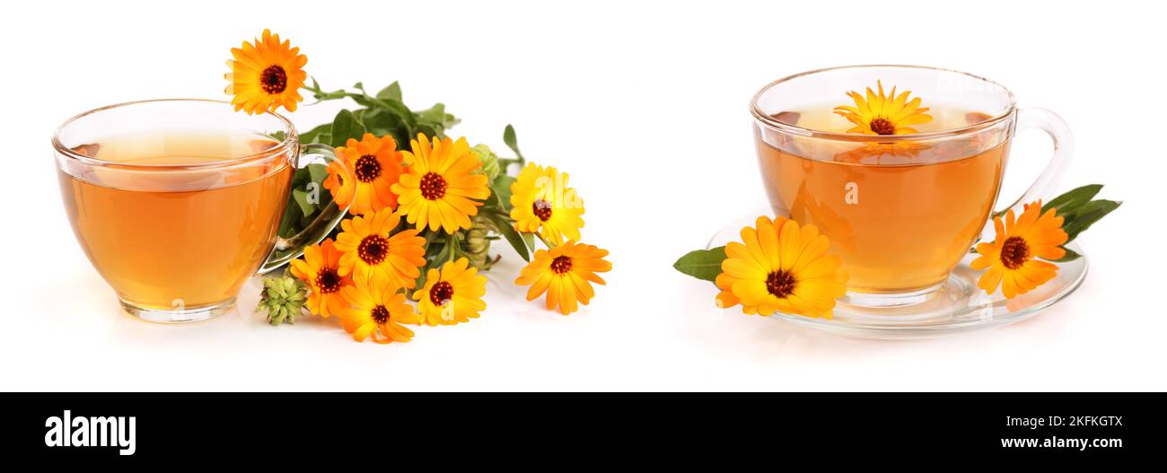 Calendula tea with fresh flowers isolated on white background Stock ...