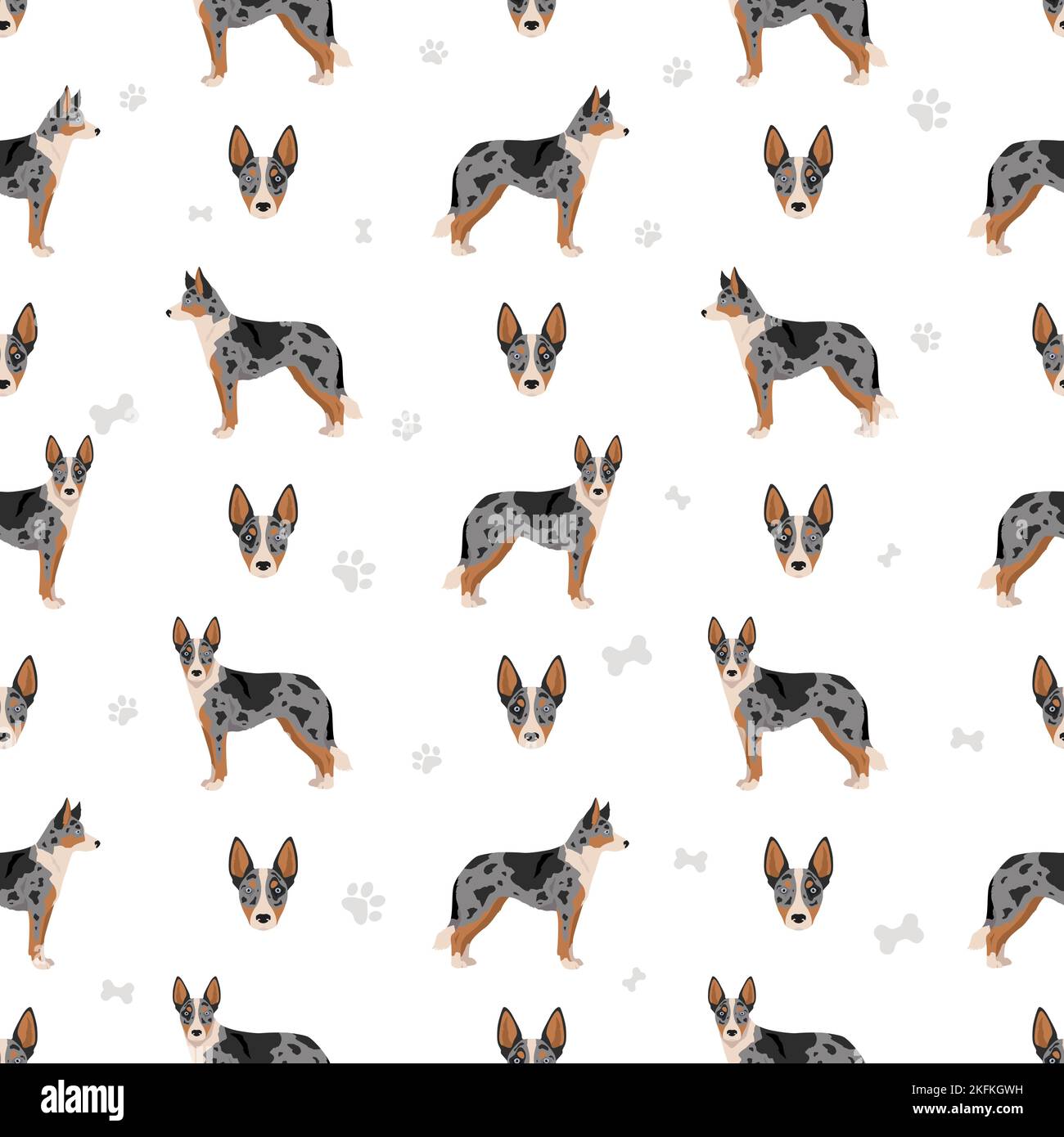 Australian koolie seamless pattern. Different poses, coat colors set ...