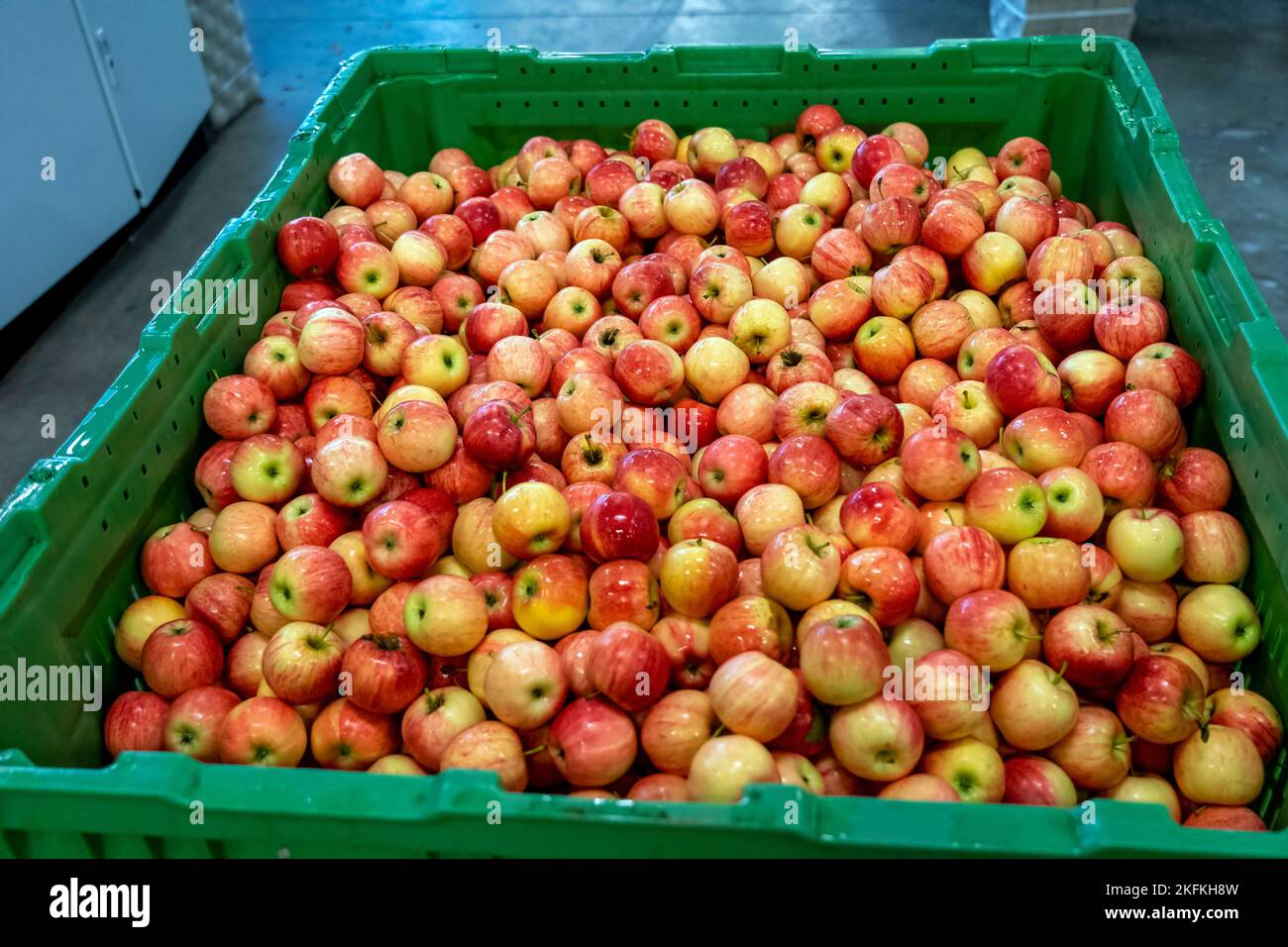 Agriculture distribution hi-res stock photography and images - Alamy