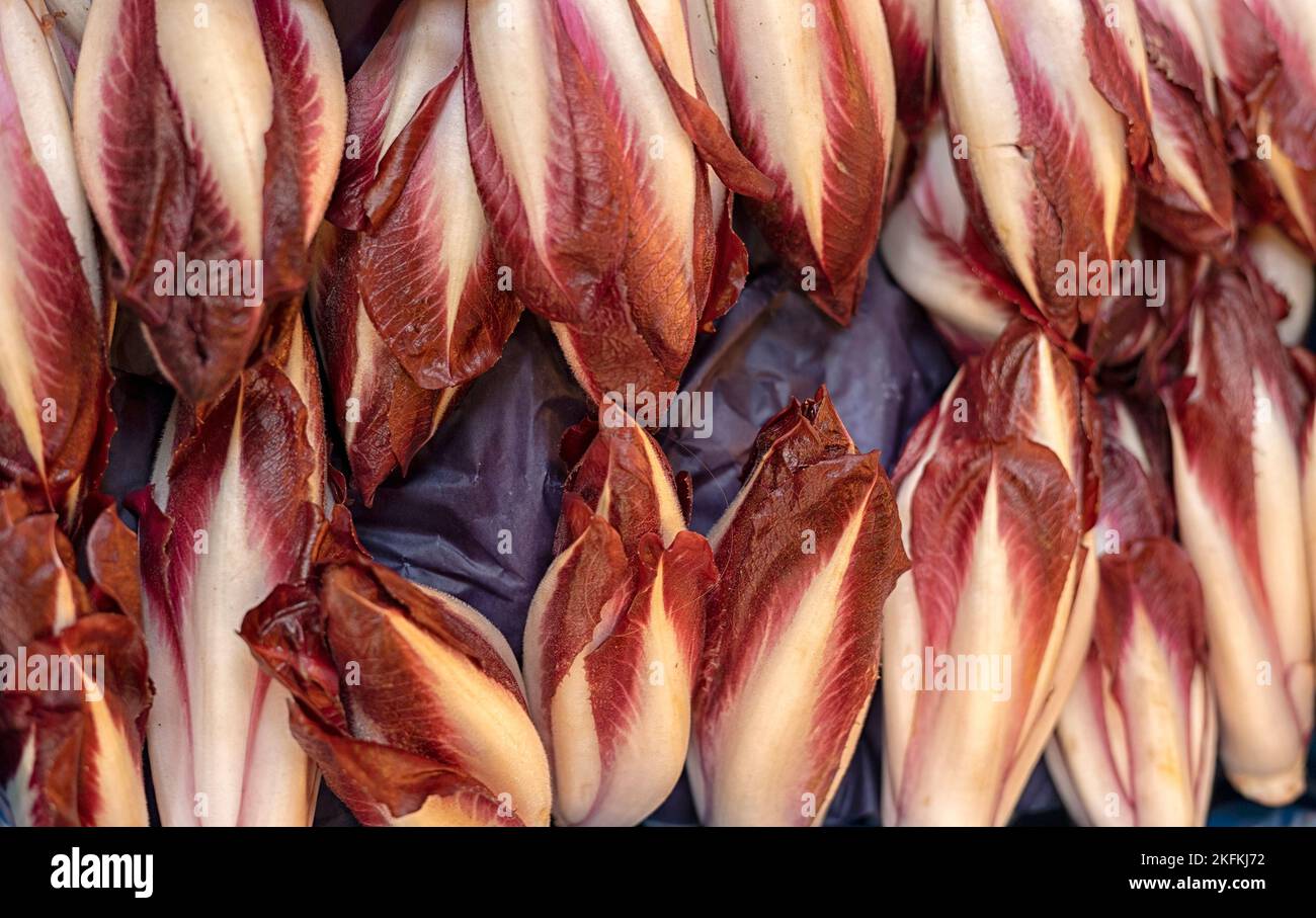 Heads of Red Chicory on a greengrocer stall at a food market Stock ...