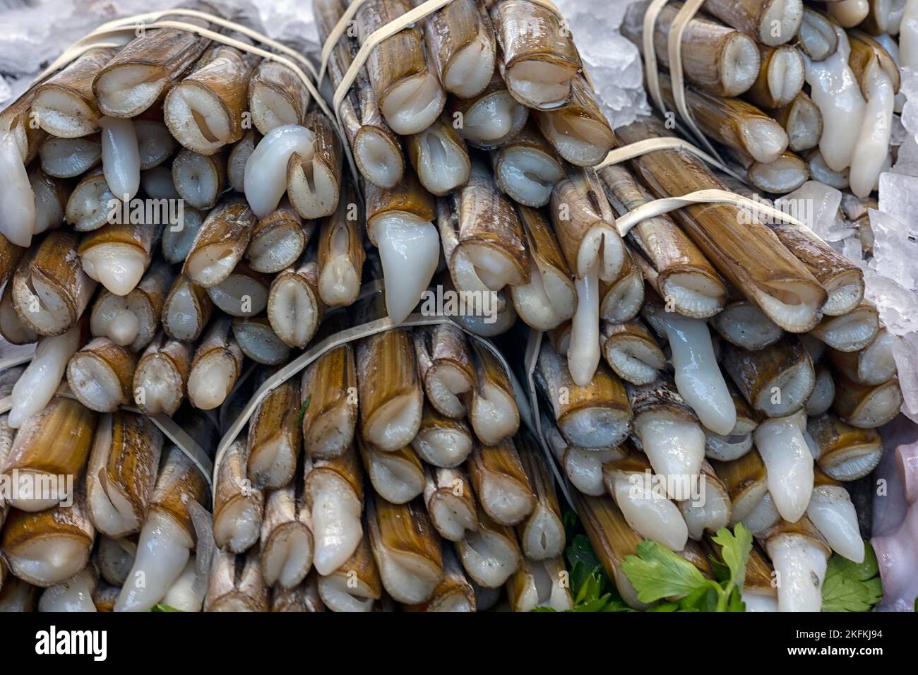 Bundles of fresh Razor Clams on a fish mongers stall at a food market ...