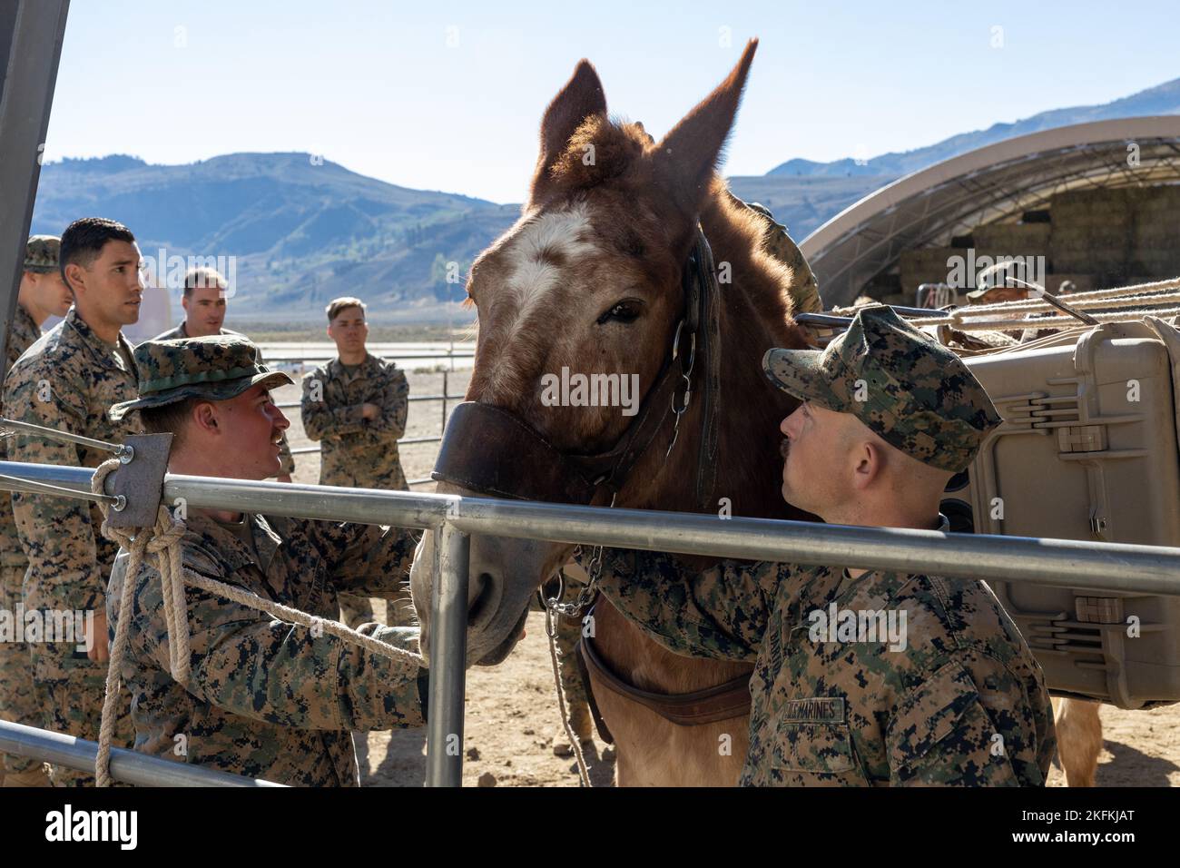 U.S. Marines with Marine Corps Mountain Warfare Training Center (MCMWTC ...