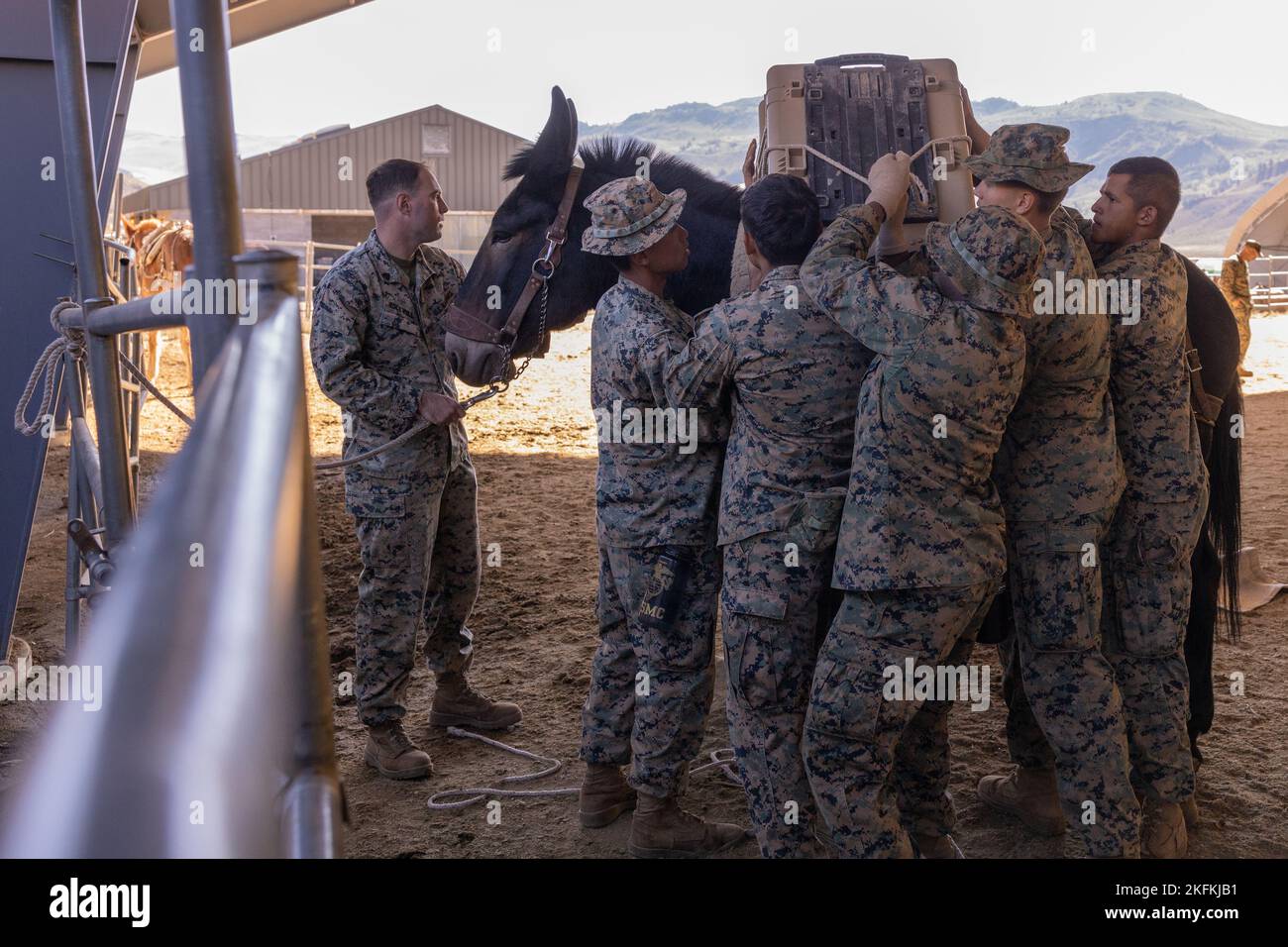 U.S. Marines with Marine Corps Mountain Warfare Training Center (MCMWTC ...