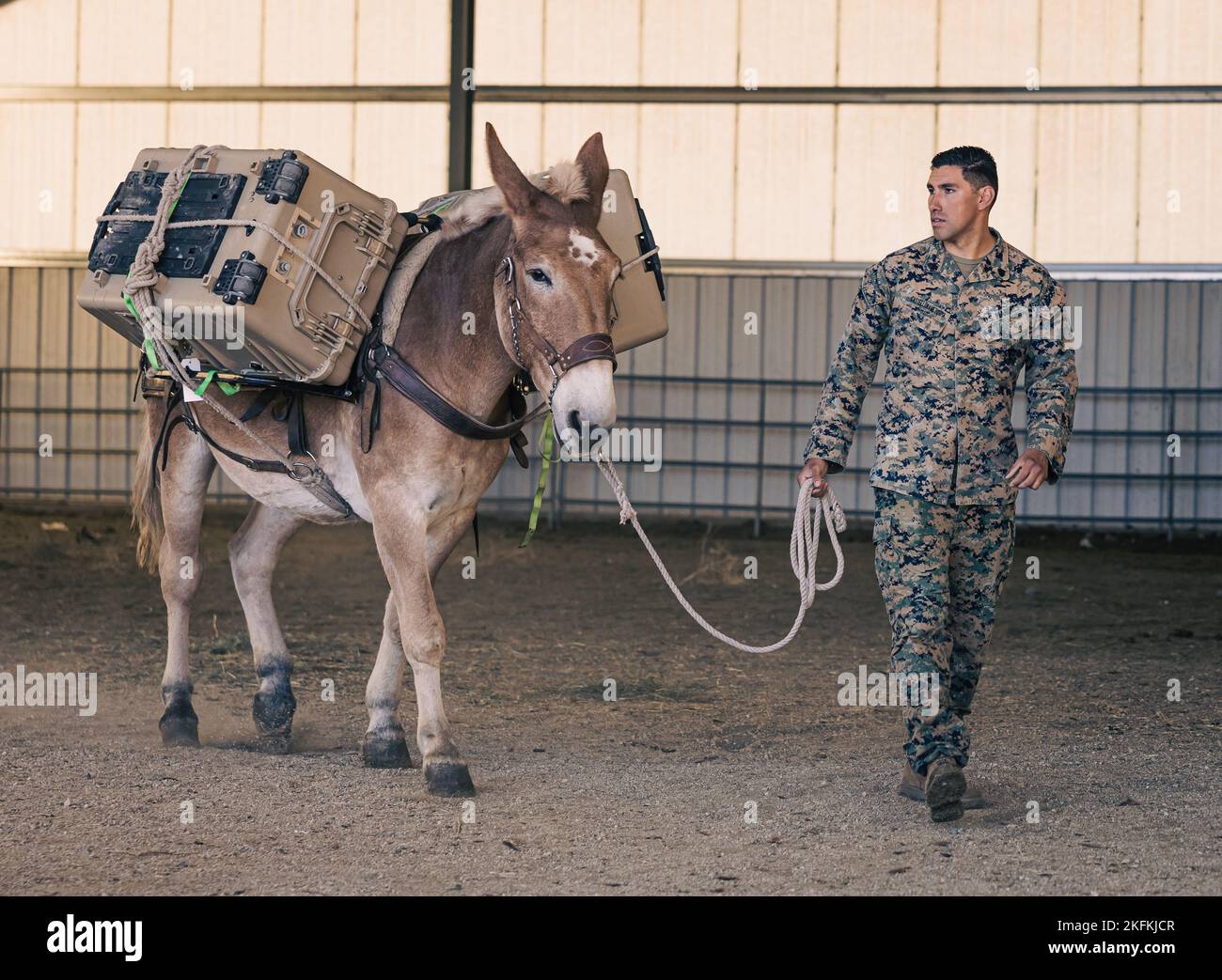 U.S. Marine Corps Sgt. Ruben Castellonamezquita, a mountain warfare ...