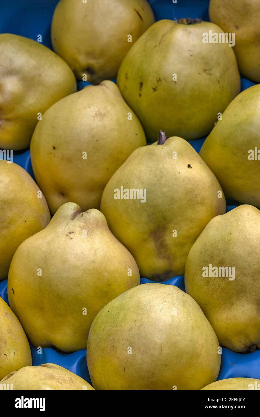 Fresh ripe Quince fruit on a display at a greengrocer stall at a food ...