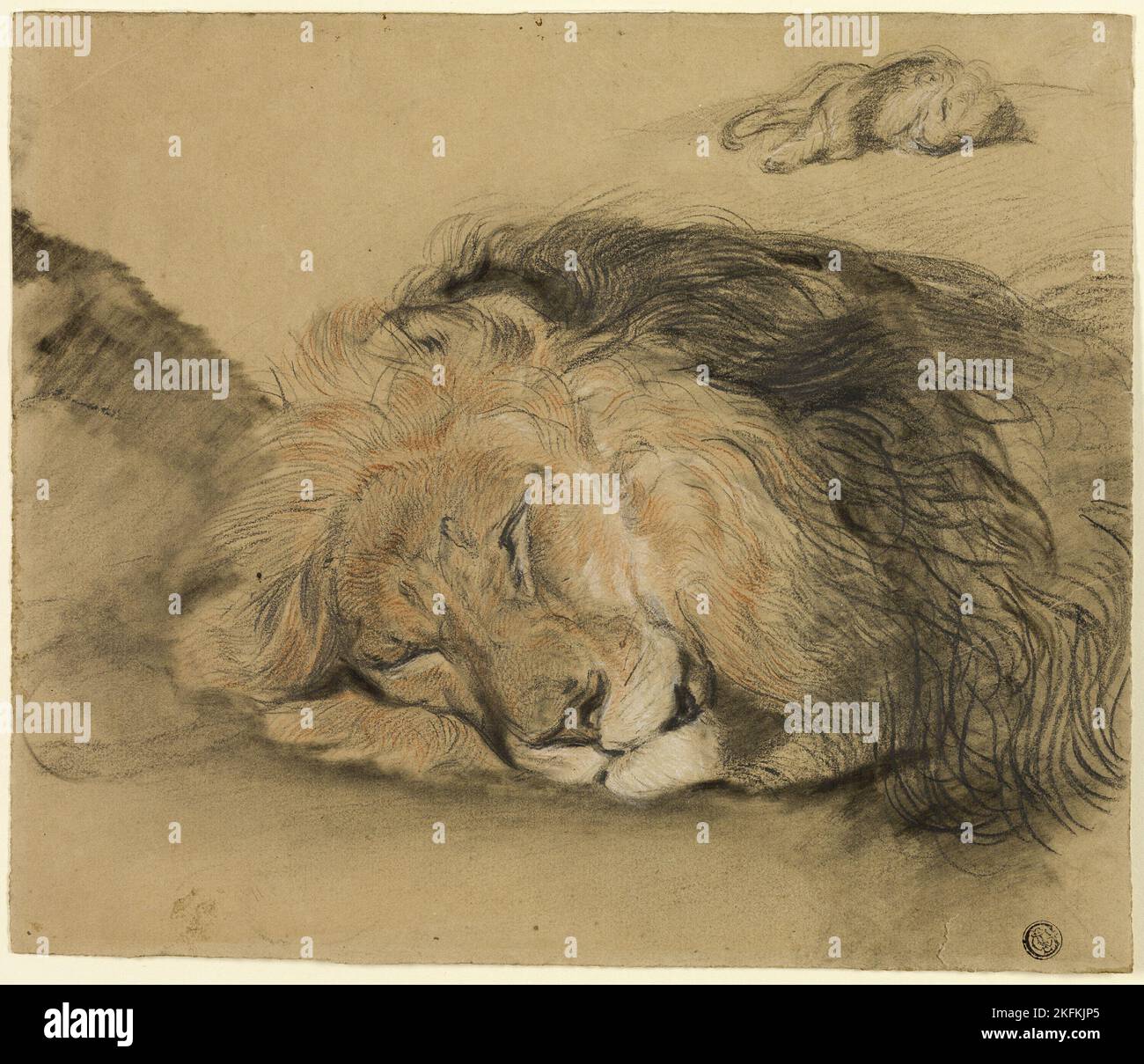 Sleeping lion drawing hi-res stock photography and images - Alamy