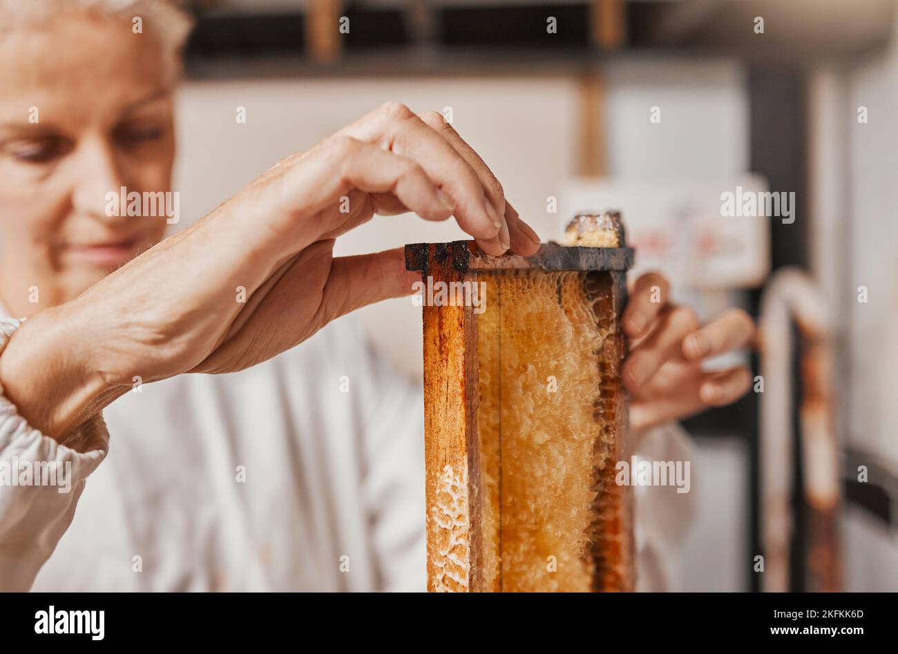 Beekeeper, honey and frame with manufacturing, production and working ...