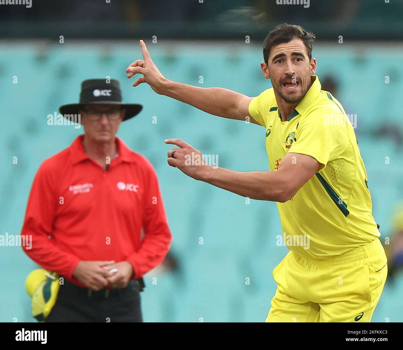 Mitchell Starc of Australia celebrates during the Dettol Series 2nd ODI ...