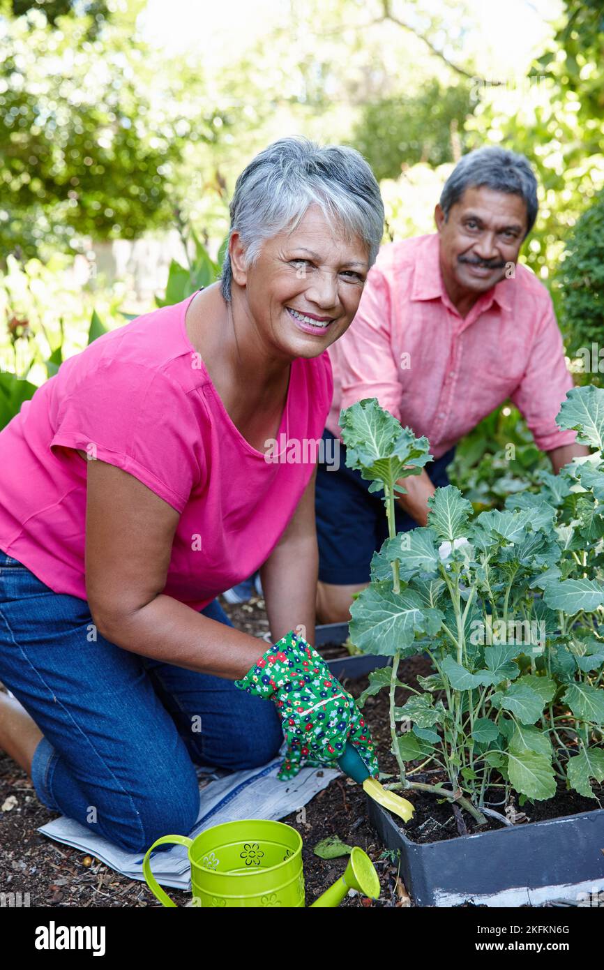 Growing the good life. a happy senior couple gardening together in ...