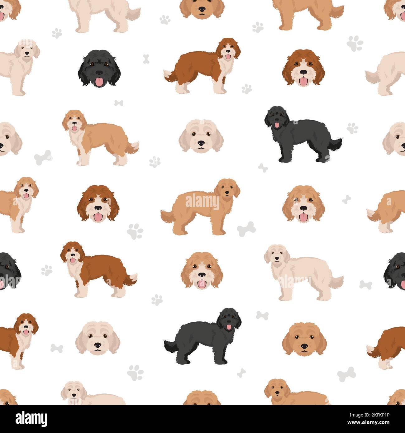 Cockapoo seamless pattern. Different poses, coat colors set. Vector ...