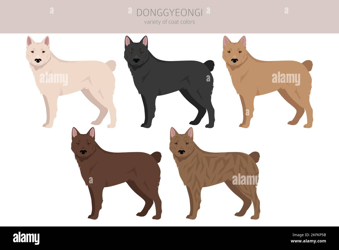 Daeng Stock Vector Images - Alamy