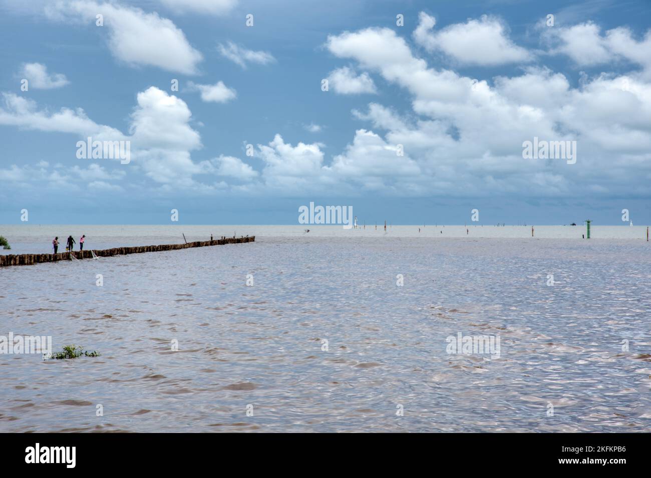 pile in a row of log jetty by the sea Stock Photo - Alamy