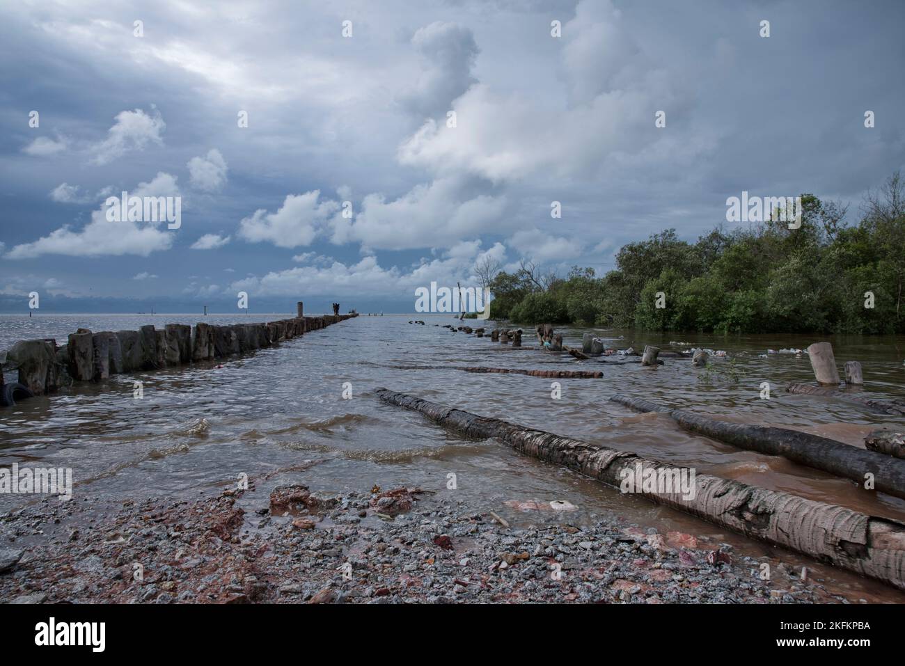 pile in a row of log jetty by the sea Stock Photo - Alamy