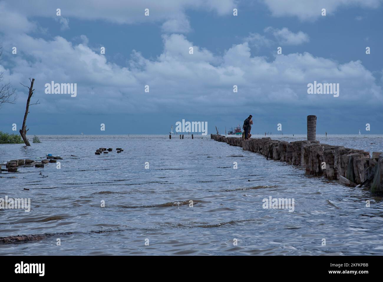 pile in a row of log jetty by the sea Stock Photo - Alamy