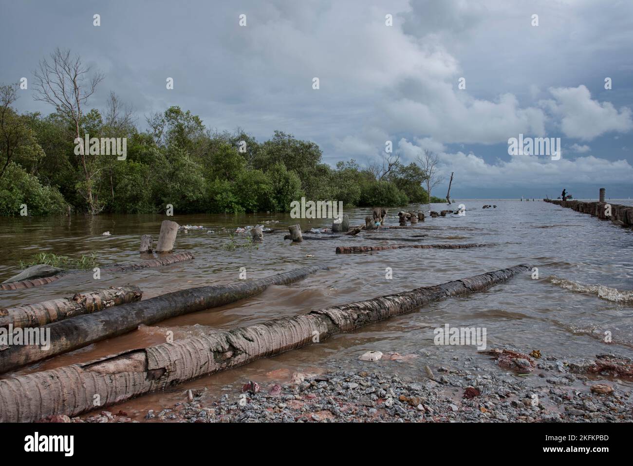 pile in a row of log jetty by the sea Stock Photo - Alamy